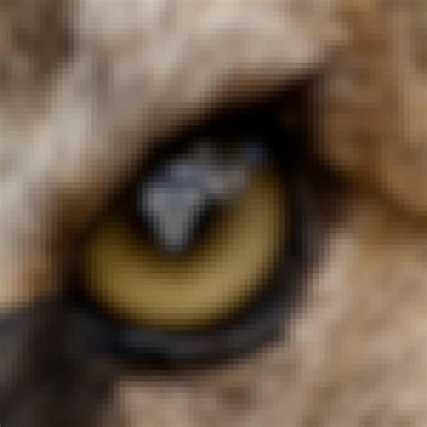 best system design courses and certificates [2025] coursera learn online