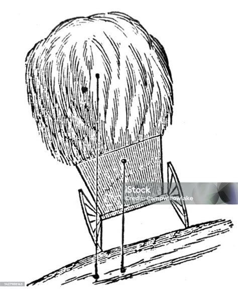 골동품 그림 무게 중심을 보여주는 데 사용되는 마차에 건초의 하중 1880 1889 년에 대한 스톡 벡터 아트 및 기타 이미지 1880 1889 년 19세기 19세기