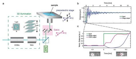 experimental setup a schematic illustration of the 2d galvo mirror
