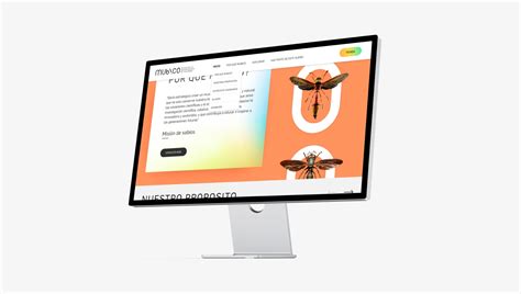 Digital Solutions For Your Business Antpack