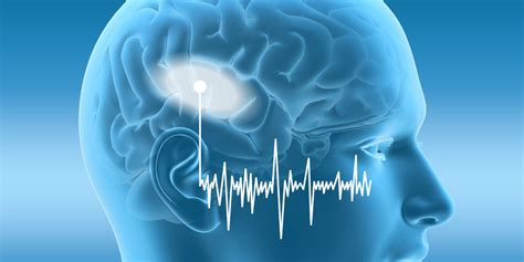 Auditory Cortex Neurological Foundation