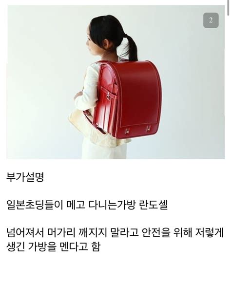 존나게 매운 요즘 일본 젊은 세대에서 유행중이라는 단어 DogDrip Net 개드립
