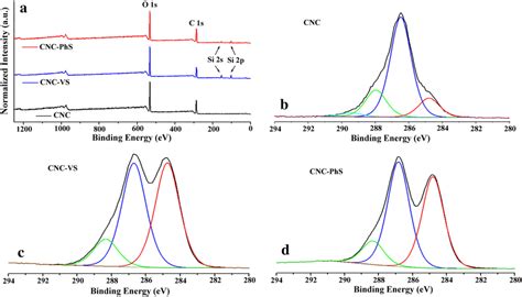 A Xps Survey Spectra Of Surface Modified Cnc Treated With 5 Wt Tevs Download Scientific