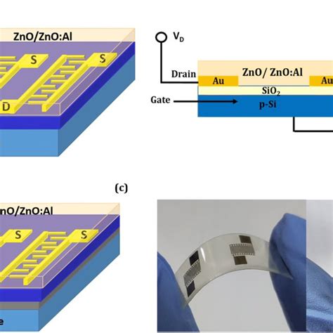 Bottom Gate Bottom Contact Fet Structure On A Rigid P Si And B Download Scientific Diagram
