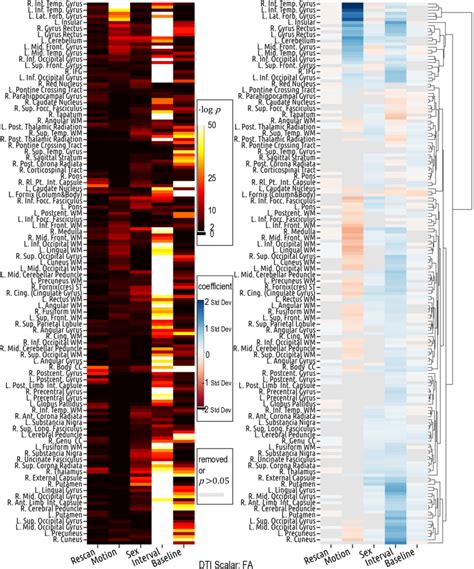 Covariate Effects On Fa Variance Represented As Standardized Standard