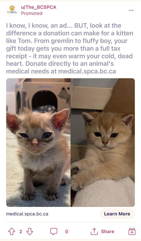 My Landlords Daughter Made Hearts On The Back Fence And It Brought Me