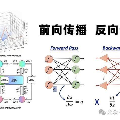 一次搞懂pytorch中的前向传播、反向传播和计算图 知乎