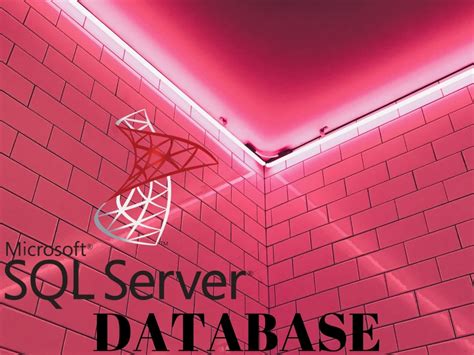 Expert Database Design Development Revisions And Administration Upwork