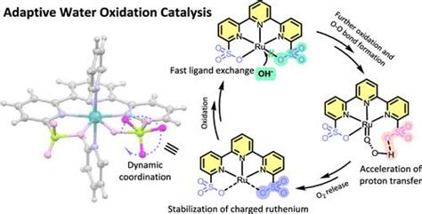 Bioinspired Active Site With A Coordination Adaptive Organosulfonate