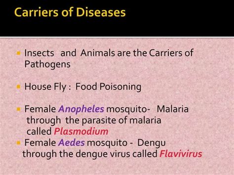 Useful And Harmful Microbes Pptx