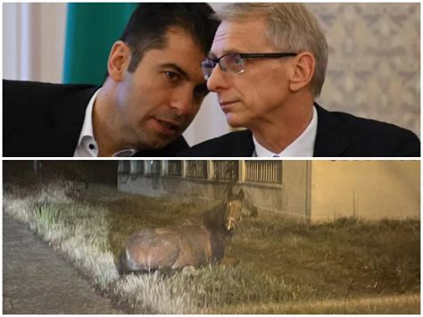 Зоват аверите Кирил Петков и Николай Денков да отидат и да приберат конете от кв Филиповци