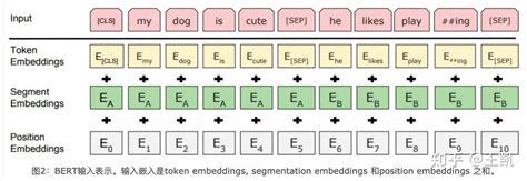 Bert模型架构详解 知乎
