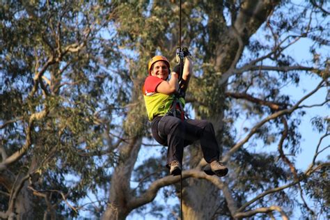 Swinging In The Tree Tops MX 5 Club Of NSW