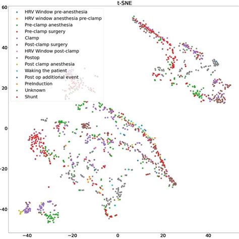 T SNE Diagram To Illustrate The Data Set Each Data Point Represents Download Scientific