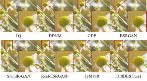 230815070 Diffbir Towards Blind Image Restoration With Generative