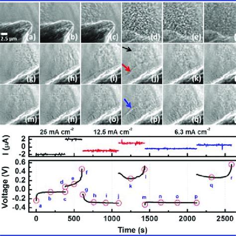 Pdf Visualization Of Lithium Plating And Stripping Via In Operando Transmission X Ray Microscopy