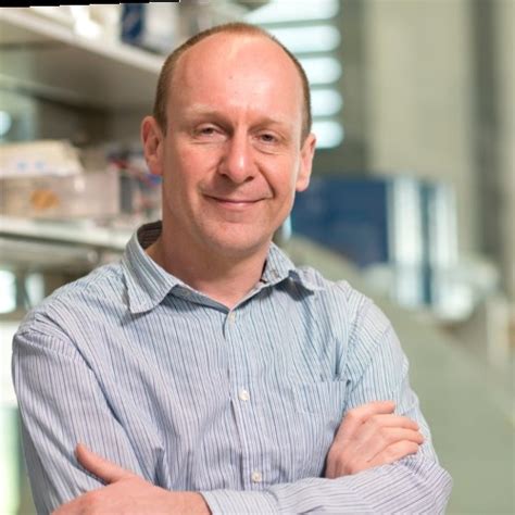 Felix Randow Program Leader Cell Autonomous And Innate Immunity Medical Research Council
