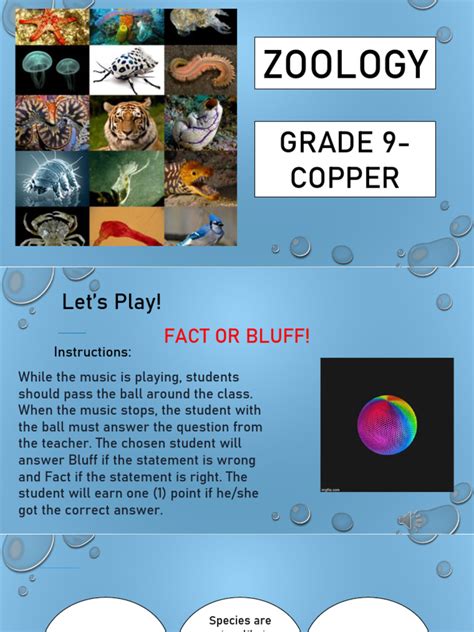 Science Of Taxonomy Pdf Language Arts And Discipline Science