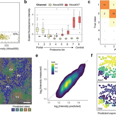 combining imaging and proteome data for a machine learned model a