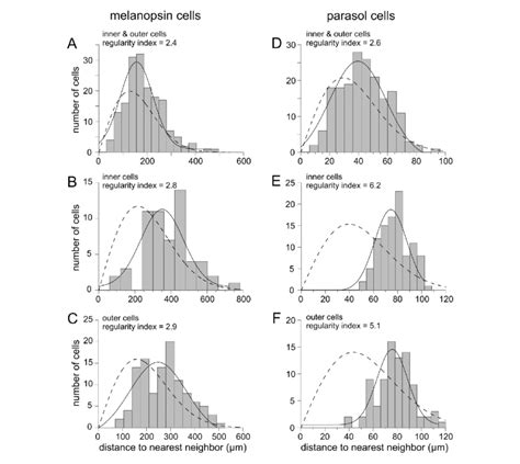 Spatial Regularity Of The Macaque Melanopsin Cell Mosaic Nearest