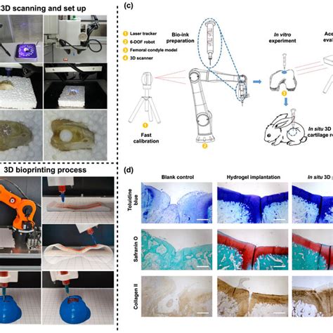 Robotic Assisted Extrusion Based In Situ Printing For Cartilage