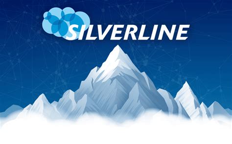 Silverline Named A 2022 Major Contender For Salesforce Industry Cloud Services By Everest