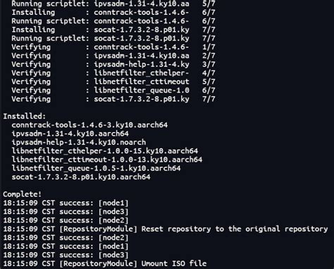 【信创】与x86体验对齐！arm64麒麟v10系统k8s多机一键离线部署 腾讯云开发者社区 腾讯云