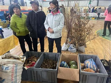 Алтан намар 2023 үзэсгэлэн худалдаа зохион байгуулагдлаа