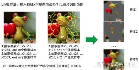 神经网络的可解释性综述【a survey on neural network interpretability】 csdn博客