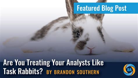 Analytics Mentor Posted On Linkedin