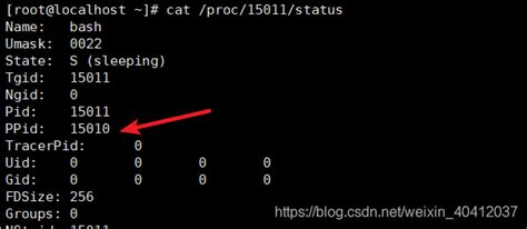 linux留后门 教程（五）—— crontab隐藏后门 linux crontab 隐藏 csdn博客