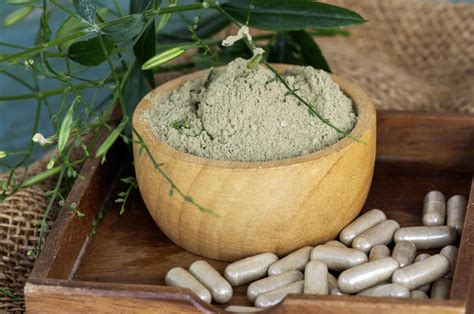 Andrographis Paniculata Extracts In Woodle Bowl With Herbal Capsules And Leaves 51211761 Stock