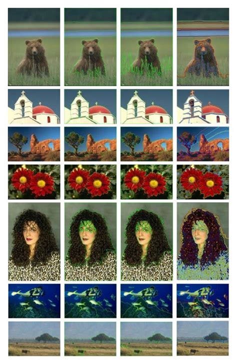 Segmentation Results Comparing With Human Segmentations Each Row From