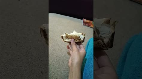 나는 아침에 빵을 먹는다 Youtube