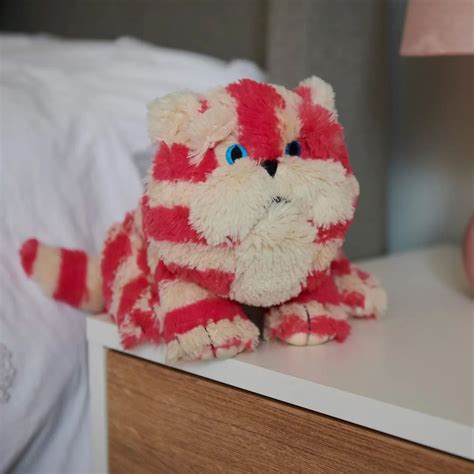 Microwavable Cuddle Bagpuss Cat The Cat Gallery