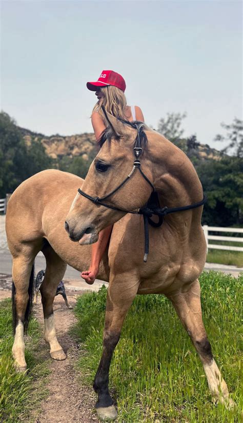 Hassie Harrison Nude Pics And Porn 2024 Leak Scandal Planet