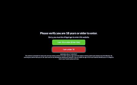 Best Age Verification WordPress Plugin Frip In