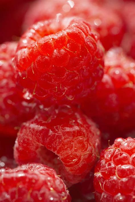 Raspberry Mango Sangria St James Winery