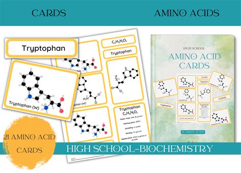 Amino Acid Structure Flashcards Printable At Linda Platt Blog