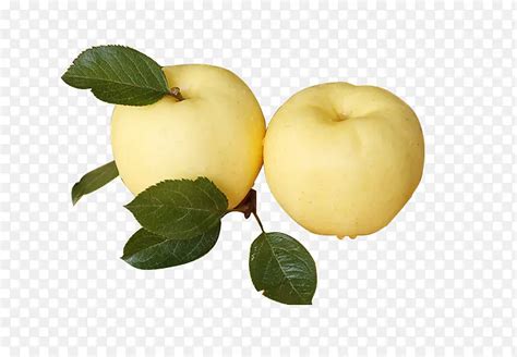 黄元帅苹果png图片素材下载图片编号yvmmzern 免抠素材网