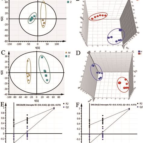 pca score graph pls da and validation model in negative ion modes