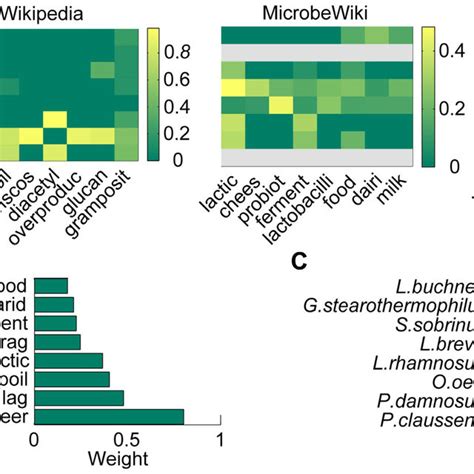 unsupervised discovery of phenotypic concepts from text by non negative