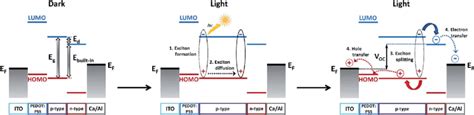 Schematic Illustration Of Photocurrent Generation Under Sunlight In The