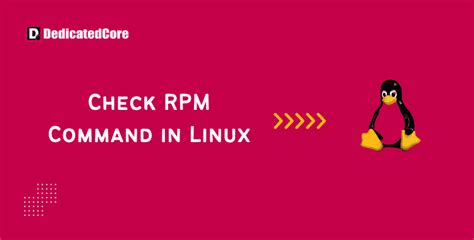 explore 17 installed rpm command packages in linux 2024