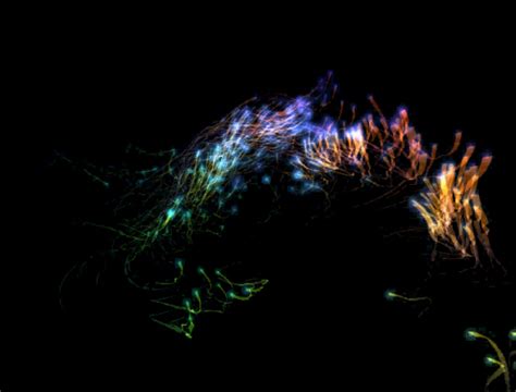 muse flocking xbox kinect hack