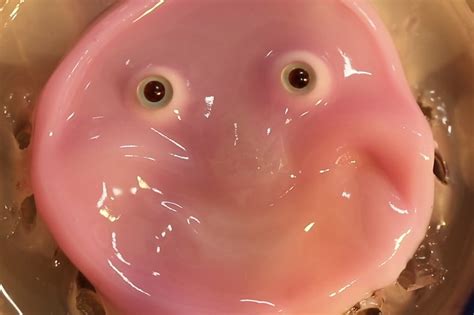 Researchers Develop Unusual Pink Blob That Could One Day Be Used As Skin For Robots Techeblog