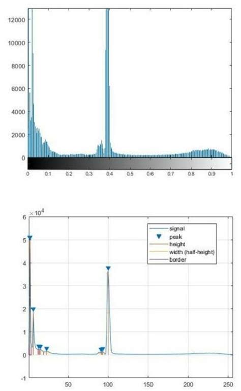 Histogram Image Of One Of The Data Samples Download Scientific Diagram