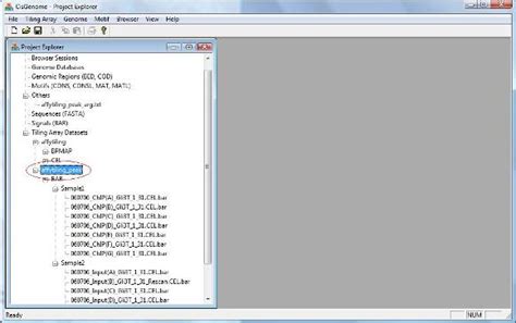 Tiling Array Analysis 2