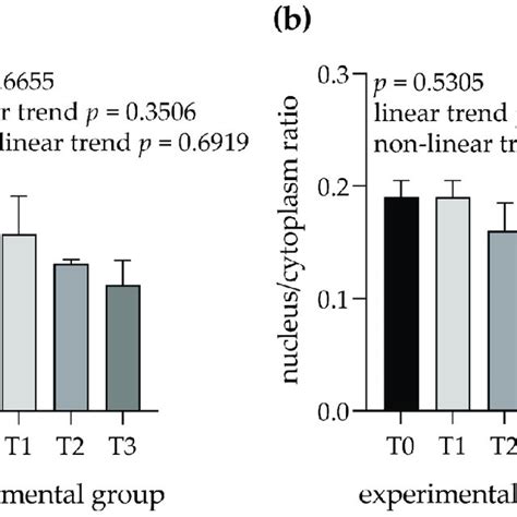 nucleus to cytoplasm ratio measured in parotid glands groups were fed