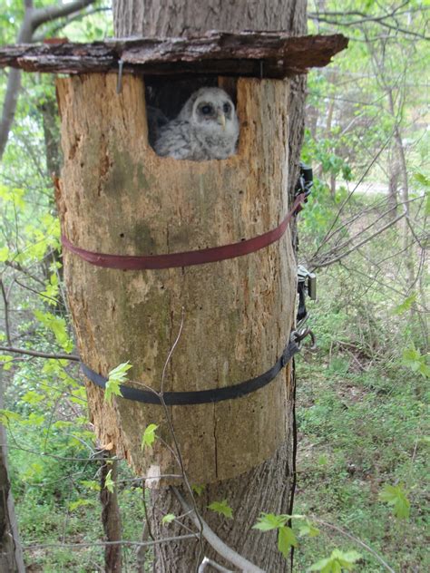 Katie Brace Home Facebook